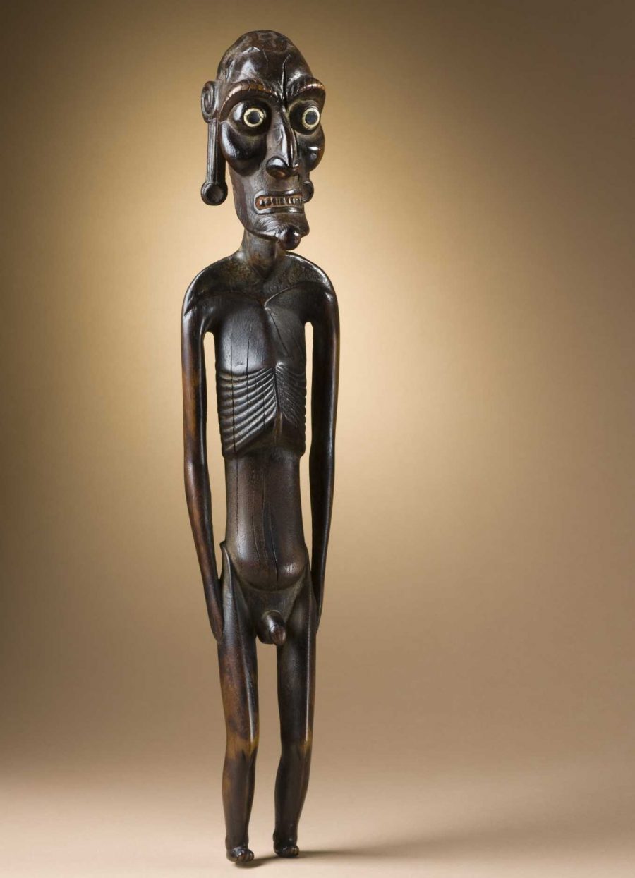 Sophora toromiro, ¿Qué hay de su supervivencia? – Conservación del Toromiro