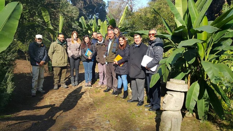 Primera Reunión del grupo técnico Sophora toromiro Chile en el Jardín ...
