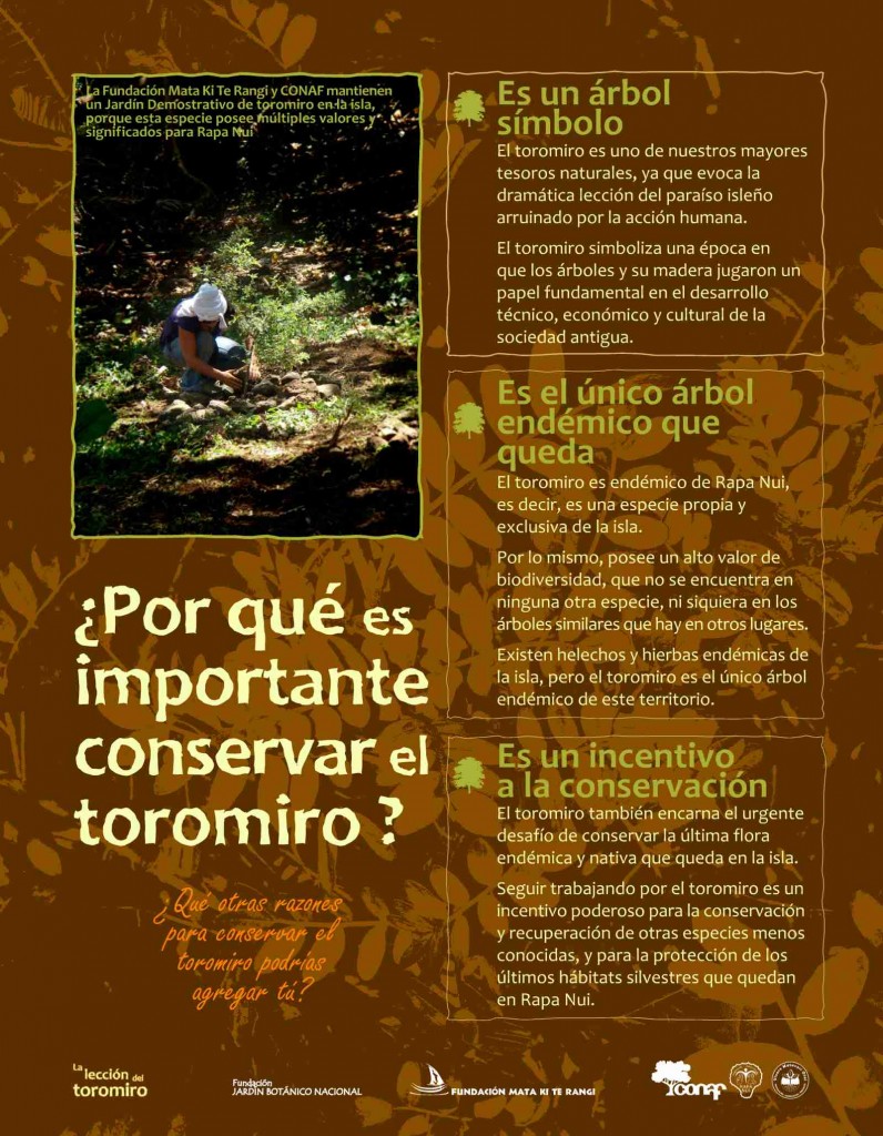 Exposición “La lección del toromiro” – Conservación del Toromiro