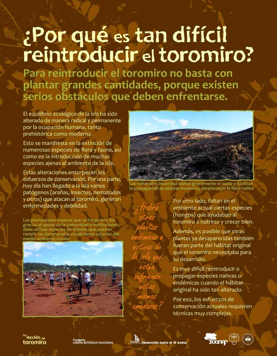 Exposición “La lección del toromiro” – Conservación del Toromiro